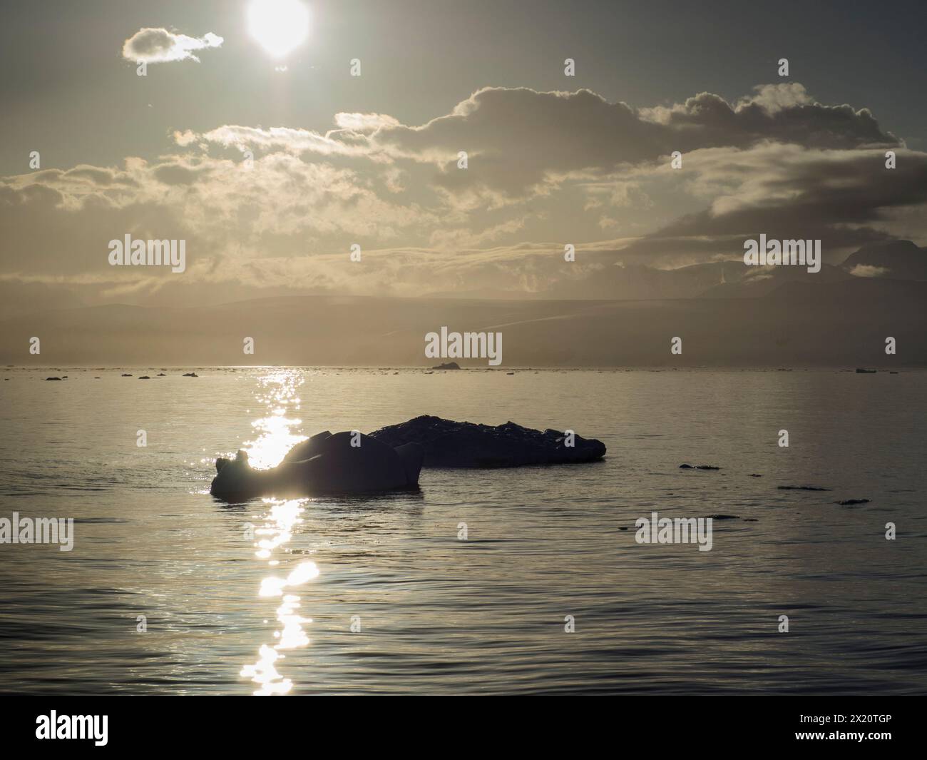 Sunrise over Icebergs in the Orleans Strait near Trinity Island ...
