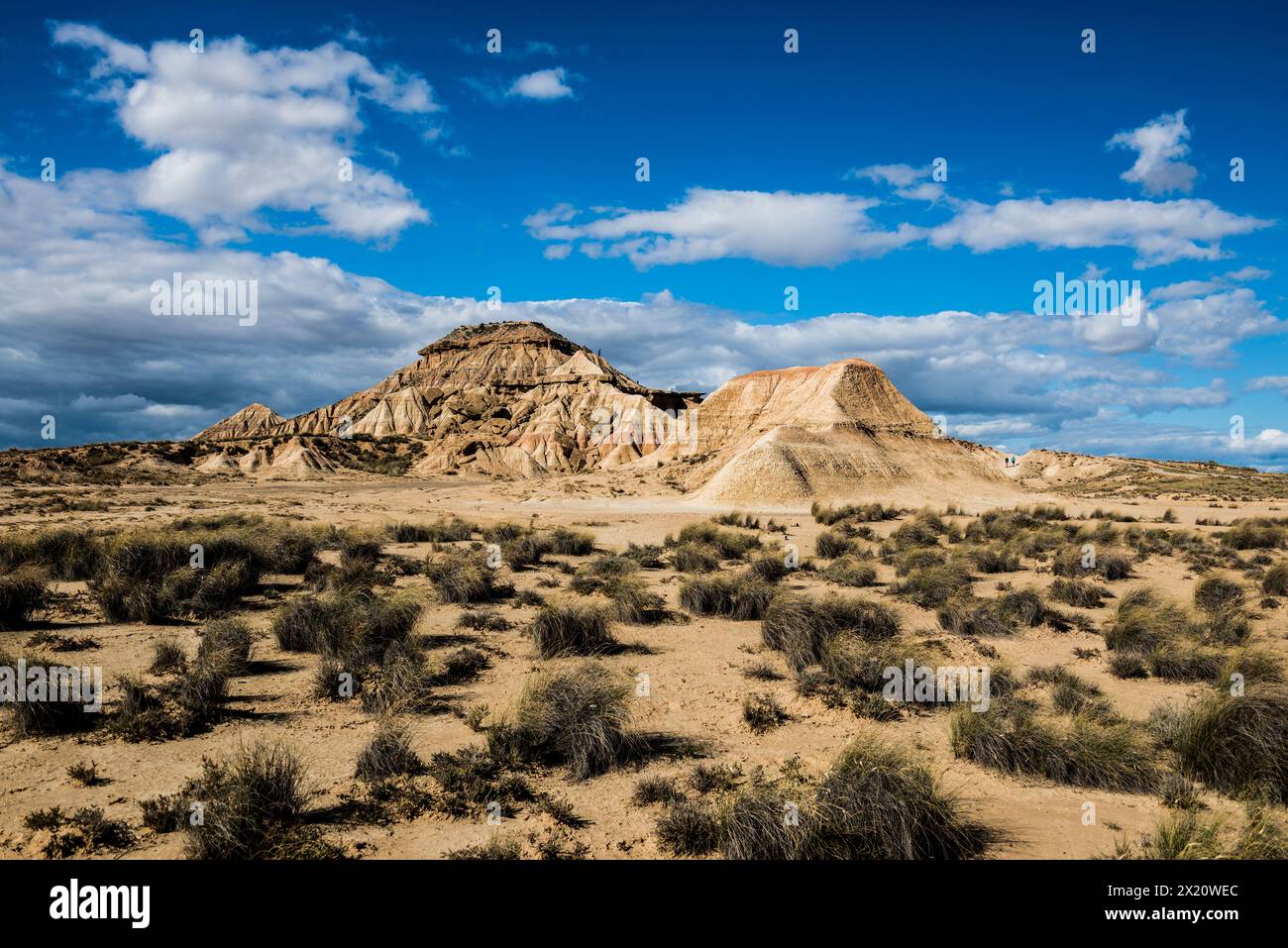 Semi-desert, Bardenas Reales Natural Park, Biosphere Reserve, Navarra ...