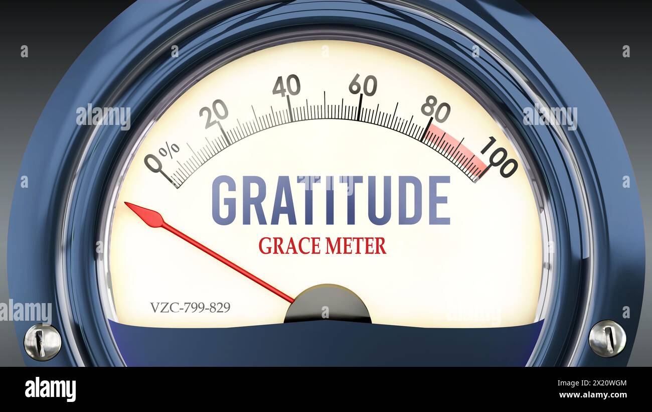 Gratitude and Grace Meter that hits less than zero, showing an ...