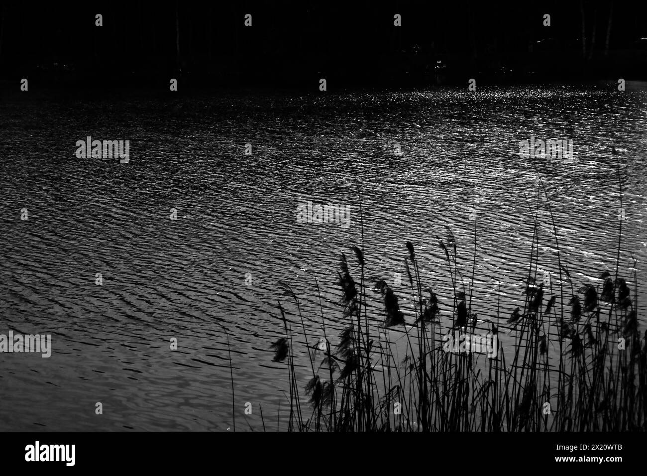 Black and white scene of expansive water surface Stock Photo - Alamy