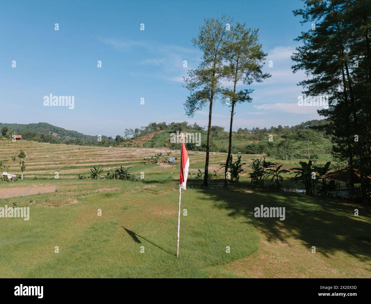 Indonesian flag waving proudly against a backdrop of fields, rice ...