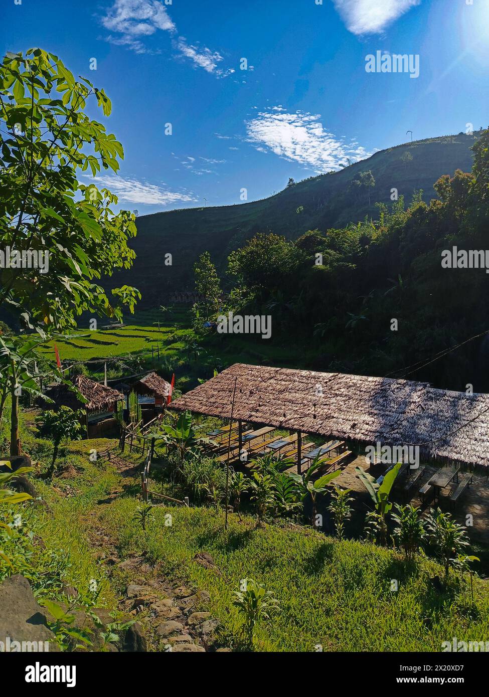 "Scenic hillside rest area with breathtaking rice field views, offering ...