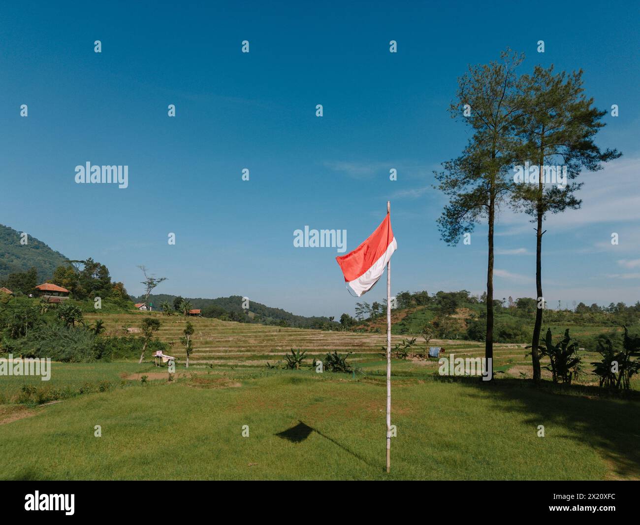Indonesian flag waving proudly against a backdrop of fields, rice ...
