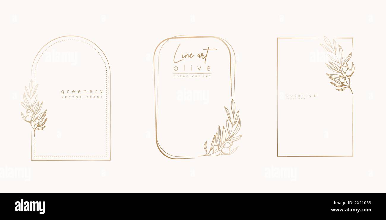 Olive branch card hi-res stock photography and images - Alamy