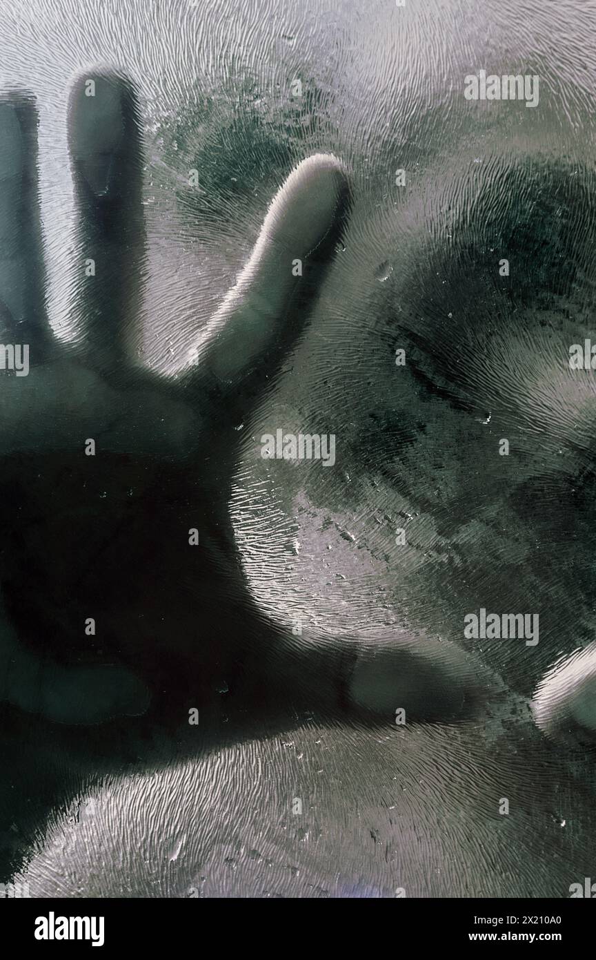 Mans figure with hands pressed against frosted glass. Shadow of a man behind the matte glass ...