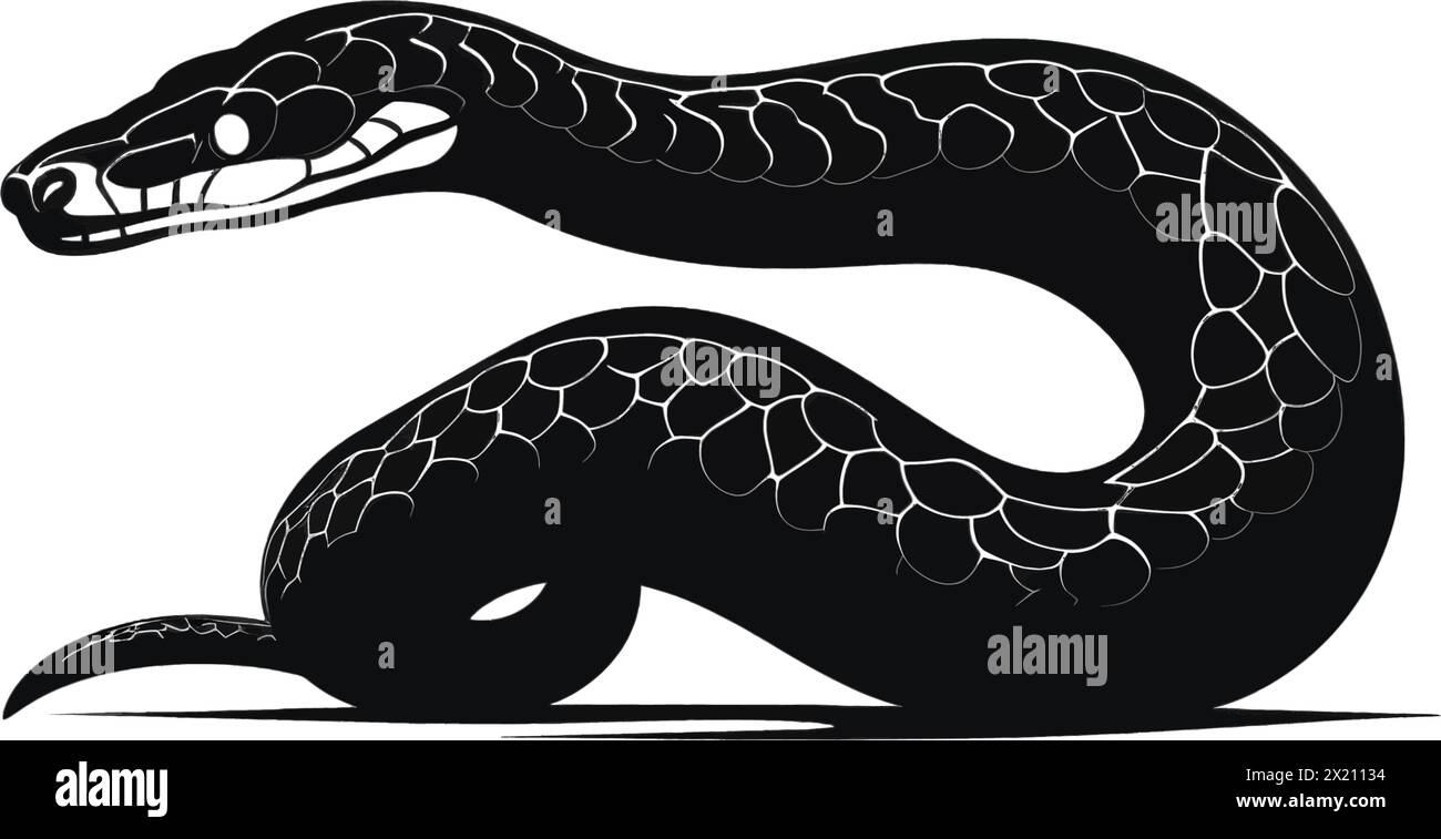 Black adder snake Cut Out Stock Images & Pictures - Alamy