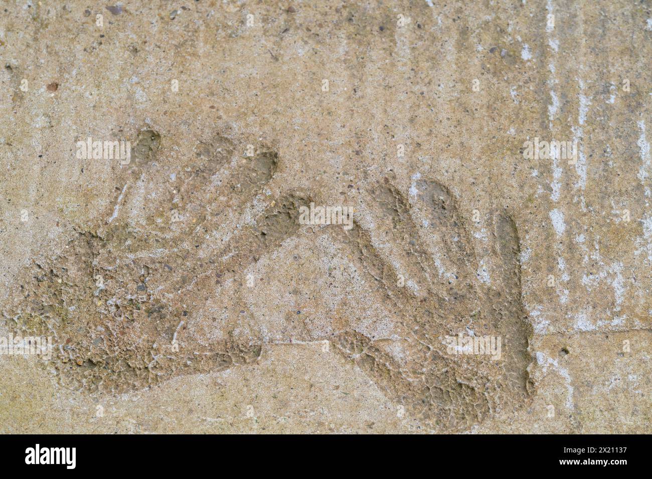 Hand prints in concrete hi-res stock photography and images - Alamy