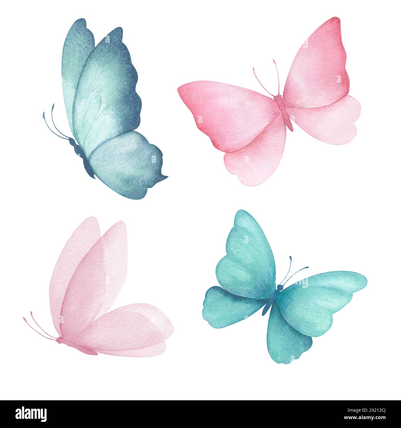 Watercolor illustration set of delicate turquoise and pink butterflies ...