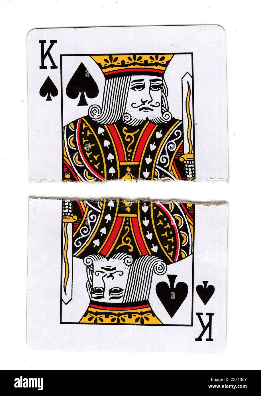 A king of spades playing card torn in half on a white background Stock ...