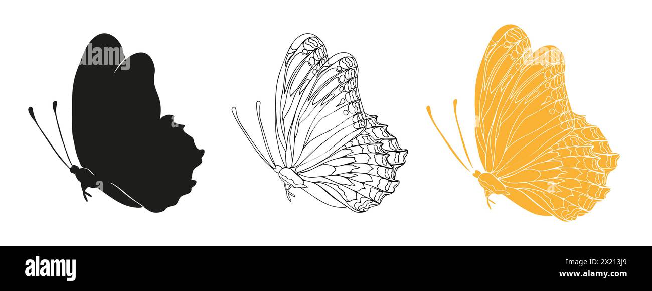 Butterfly black ink line art, silhouette illustrations and gold foil ...