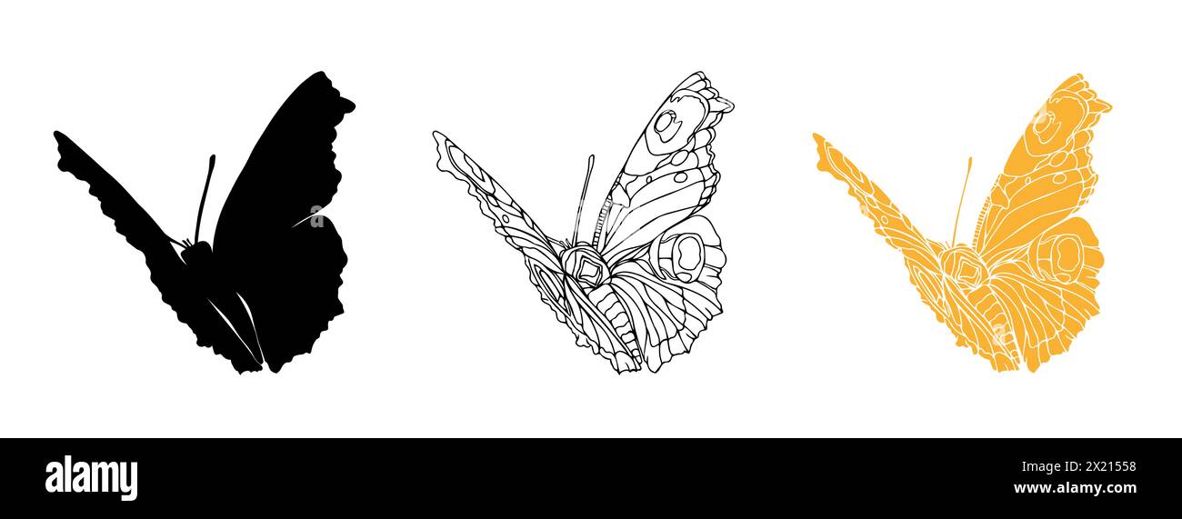 Butterfly black ink line art and detail silhouette illustrations for ...