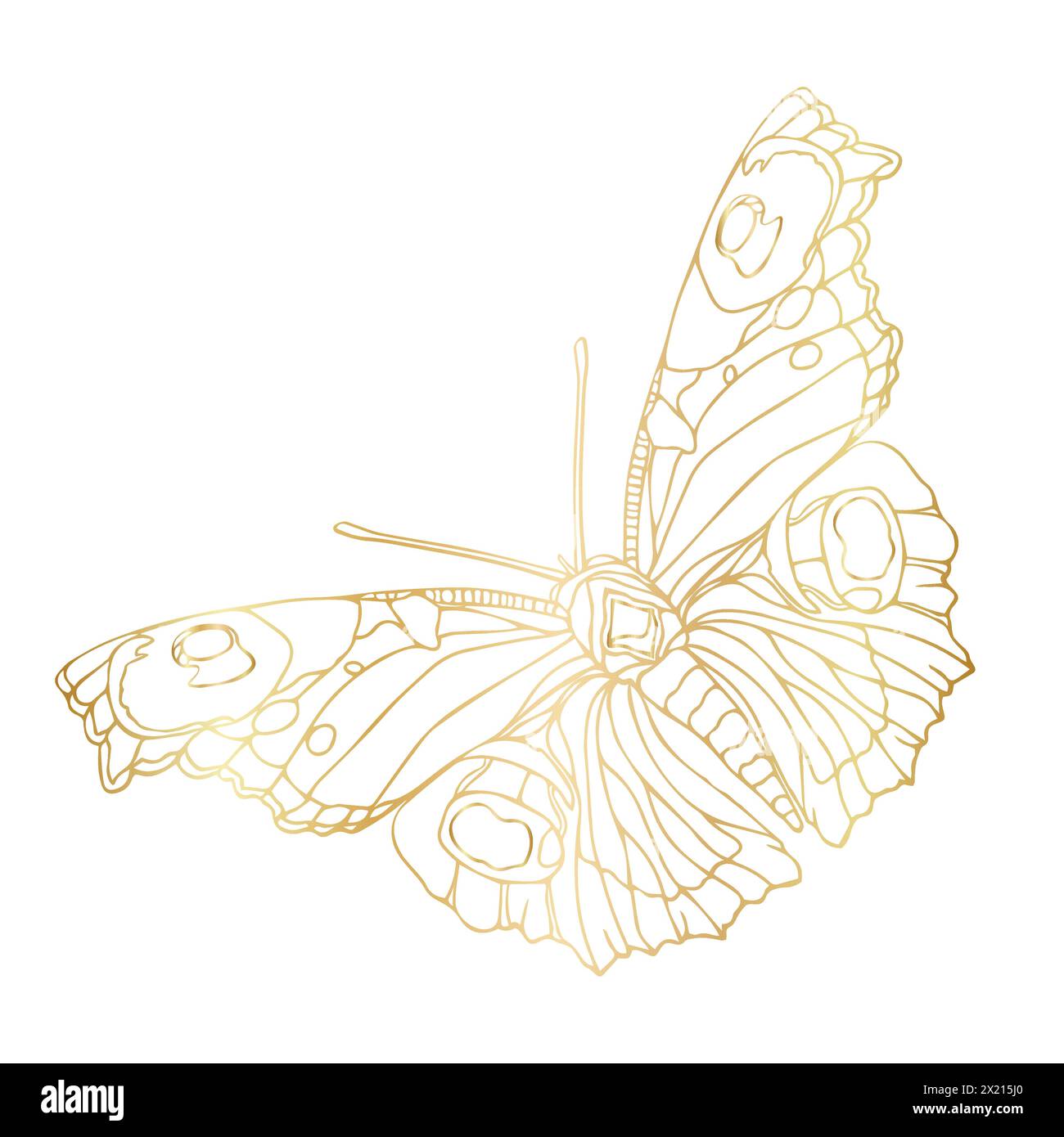 Gold butterfly line art illustration. Butterfly golden foil art ...