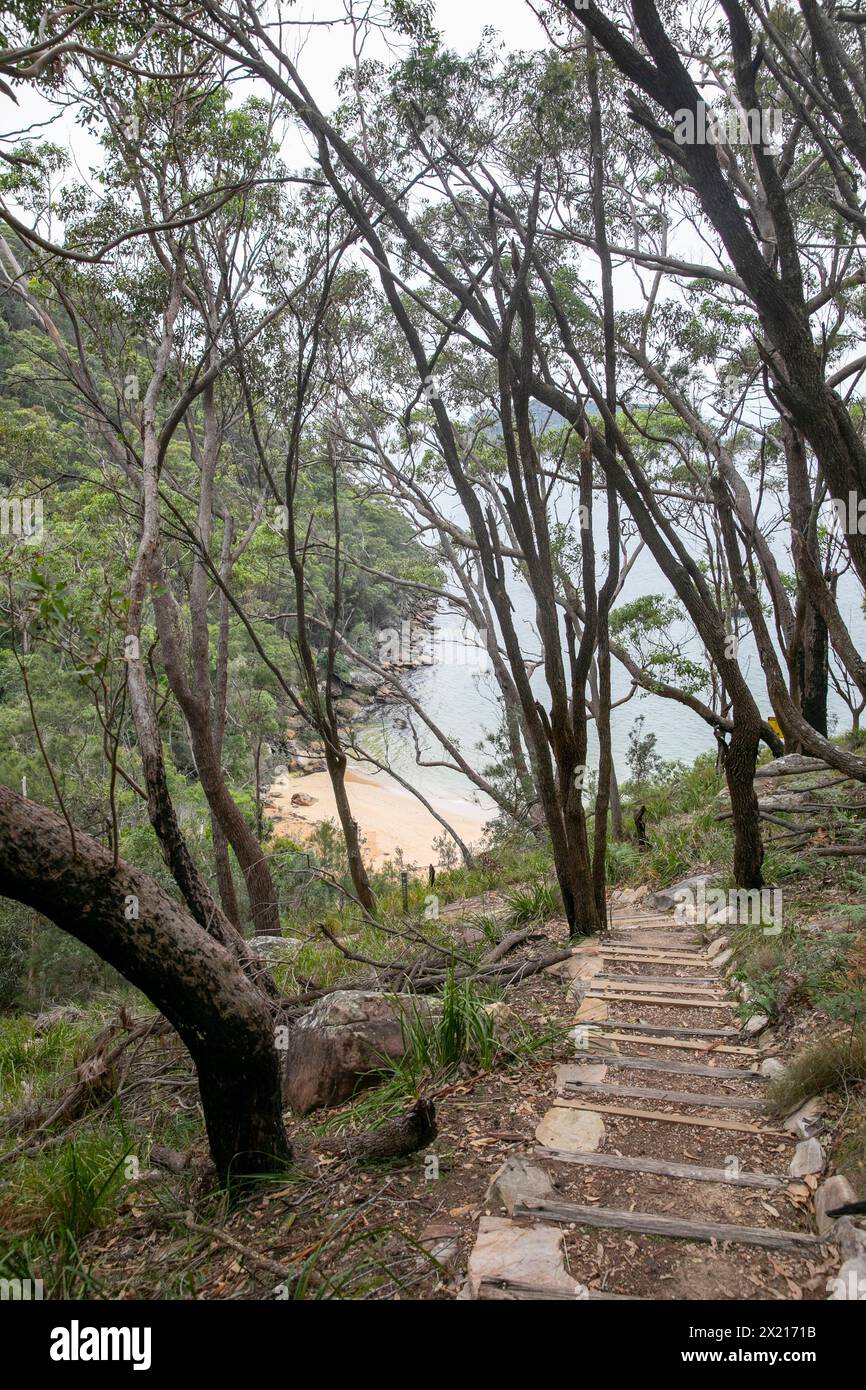 Resolute Beach in Ku-ring-gai chase national park, has many steps from ...