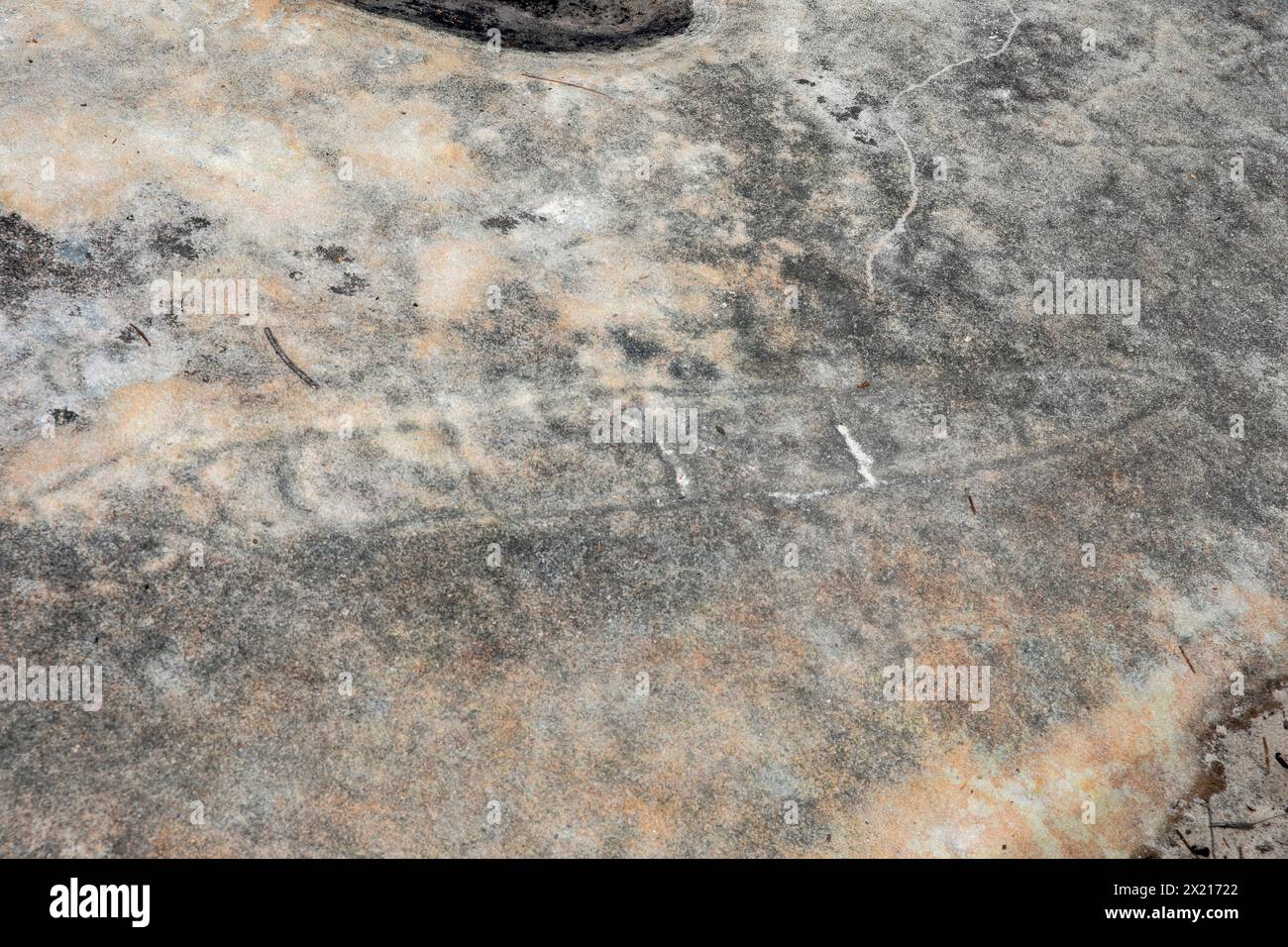 Aboriginal rock art in Ku-ring -gai chase national park,Sydney,NSW ...