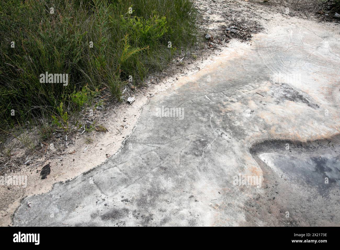 Aboriginal rock art in Ku-ring -gai chase national park,Sydney,NSW ...