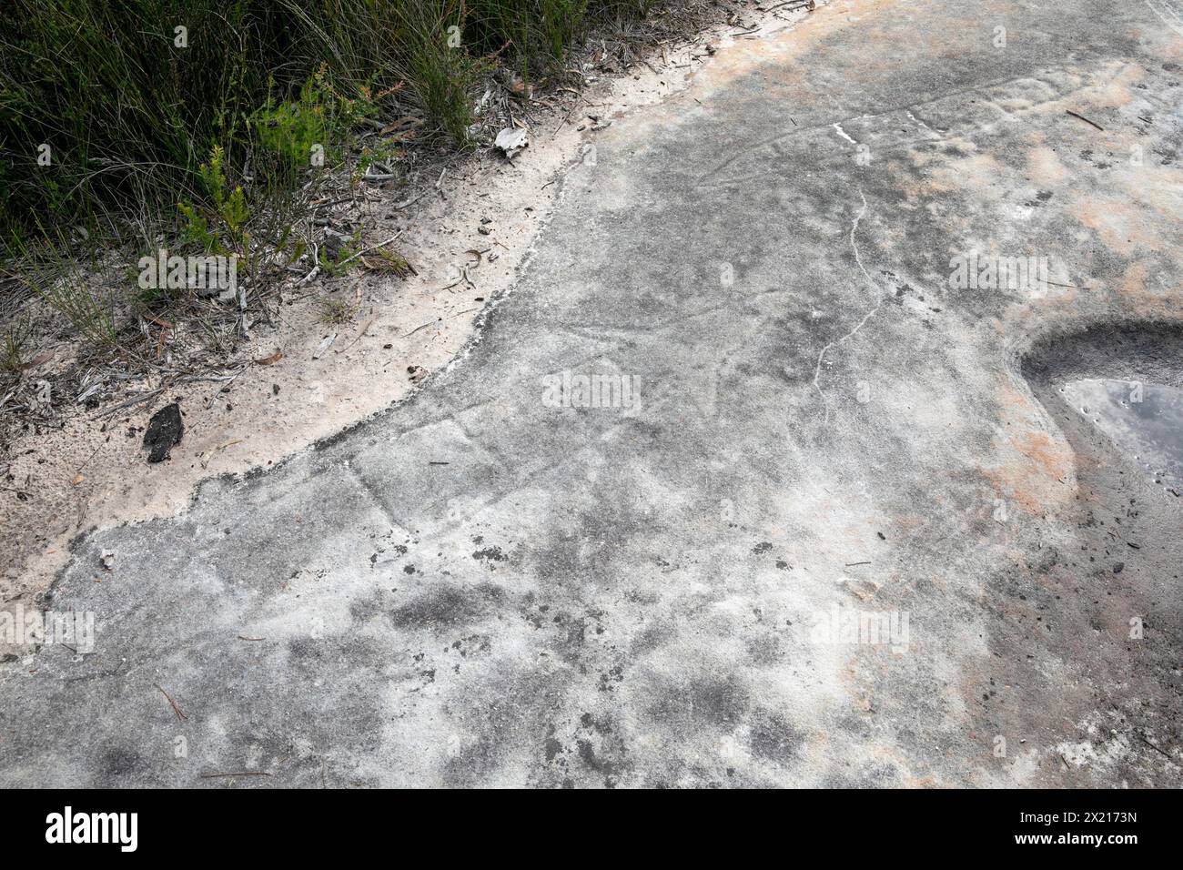 Aboriginal rock art in Ku-ring -gai chase national park,Sydney,NSW ...
