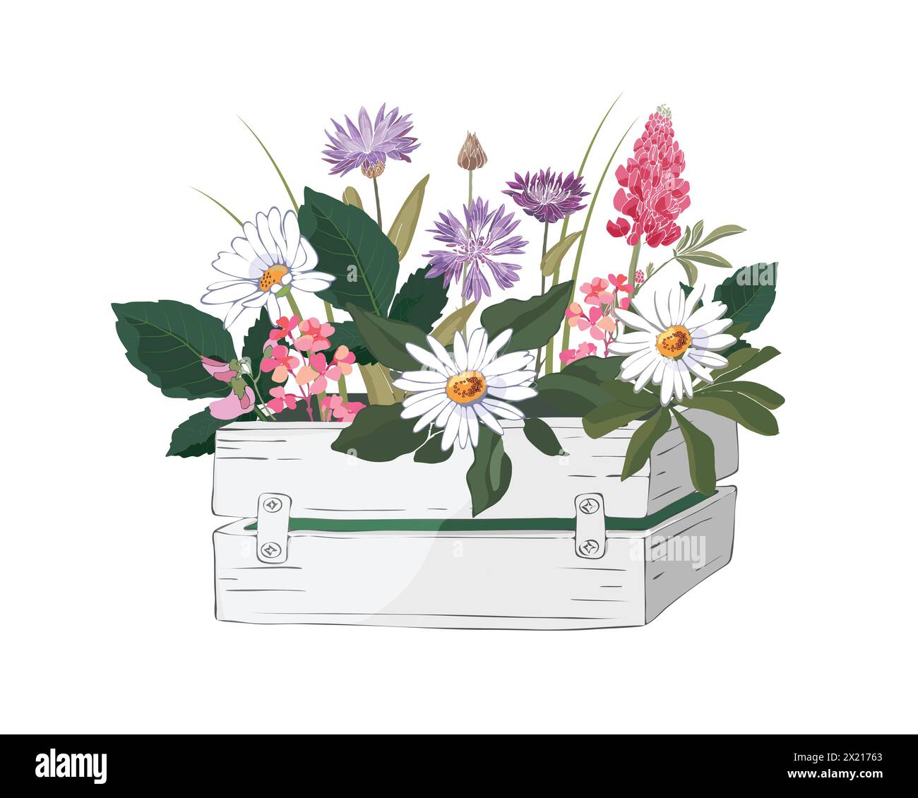 Vector flowers in a garden wooden white box Stock Vector Image & Art ...