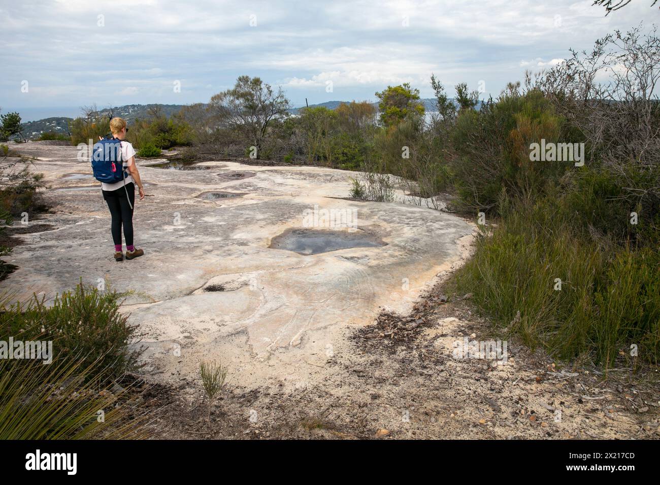 Indigenous aboriginal first nations rock art in Ku-Ring-Gai chase ...