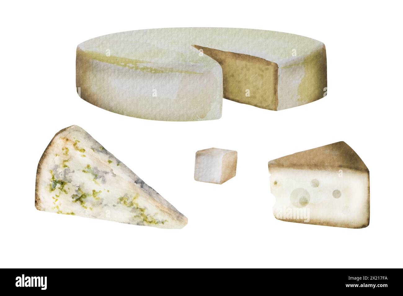 Watercolor illustration of pieces of cheese of different varieties ...