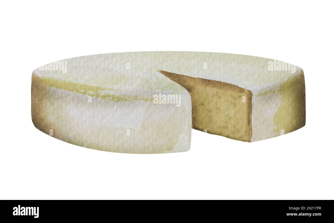 Watercolor illustration of pieces of cheese of different varieties ...