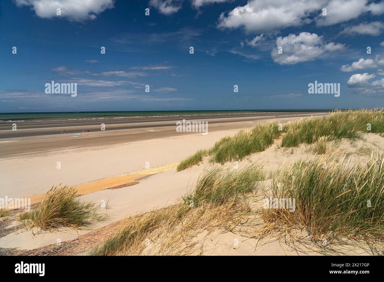 Dunes on Leffrinckoucke beach on the Côte d'Opale or Opal Coast, France ...