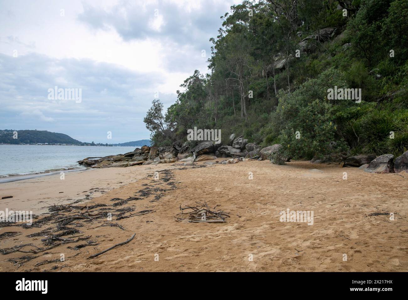 Resolute Beach on the shores of Pittwater, Ku-Ring-Gai chase national ...
