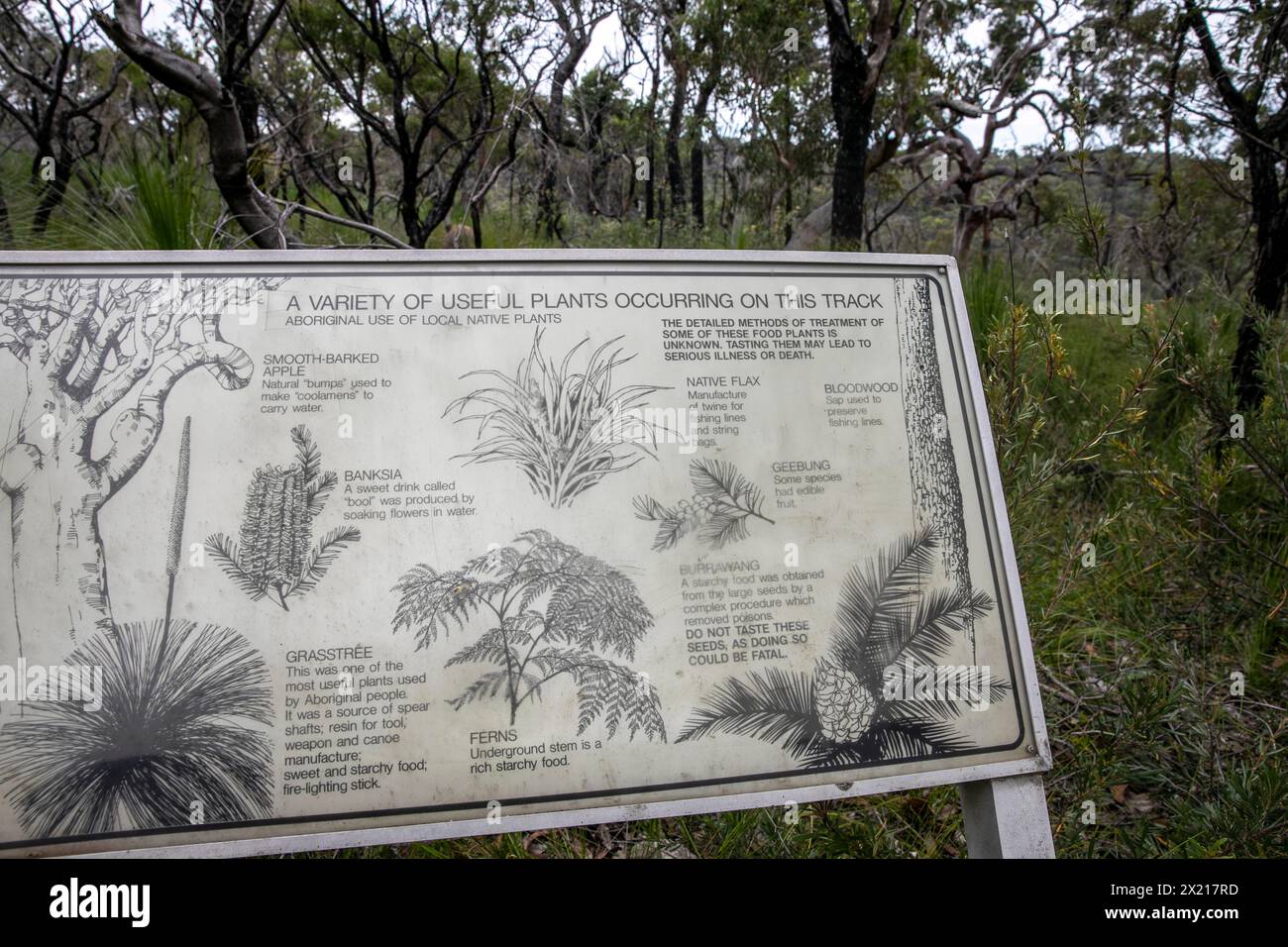 Resolute Beach loop trail and sign with information as to how ...