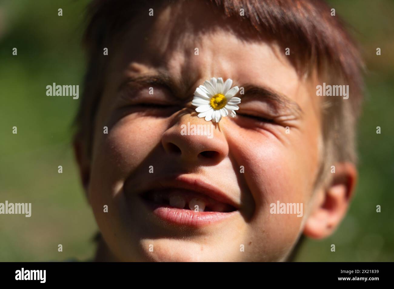 Face of 8 year old caucasian boy happy smiling with a daisy on his face ...