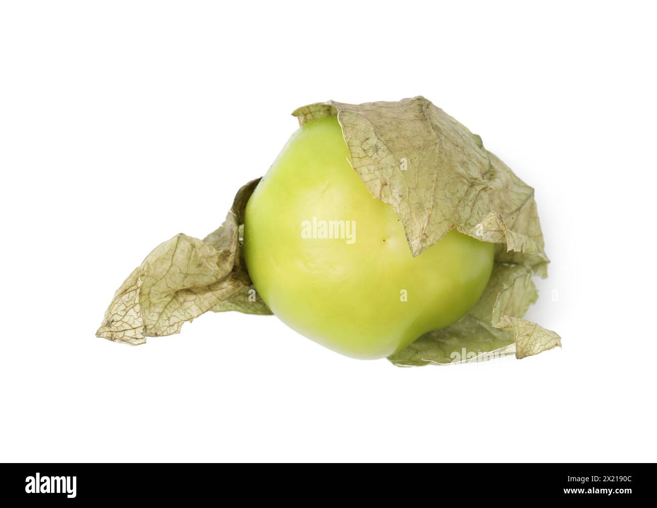 Fresh green tomatillo with husk isolated on white Stock Photo - Alamy