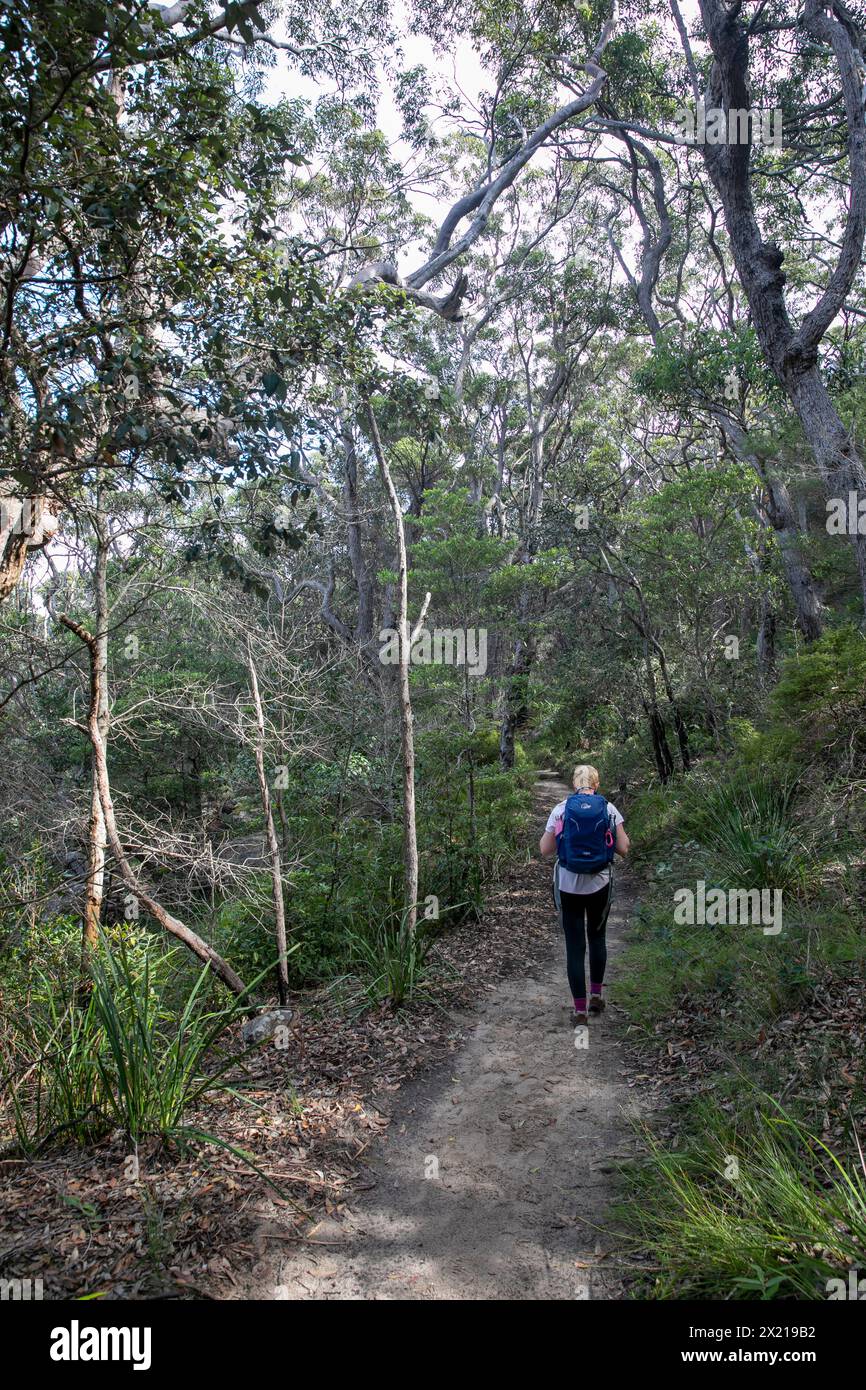 Female hiker, woman in her fifties, model released bush walking in ...