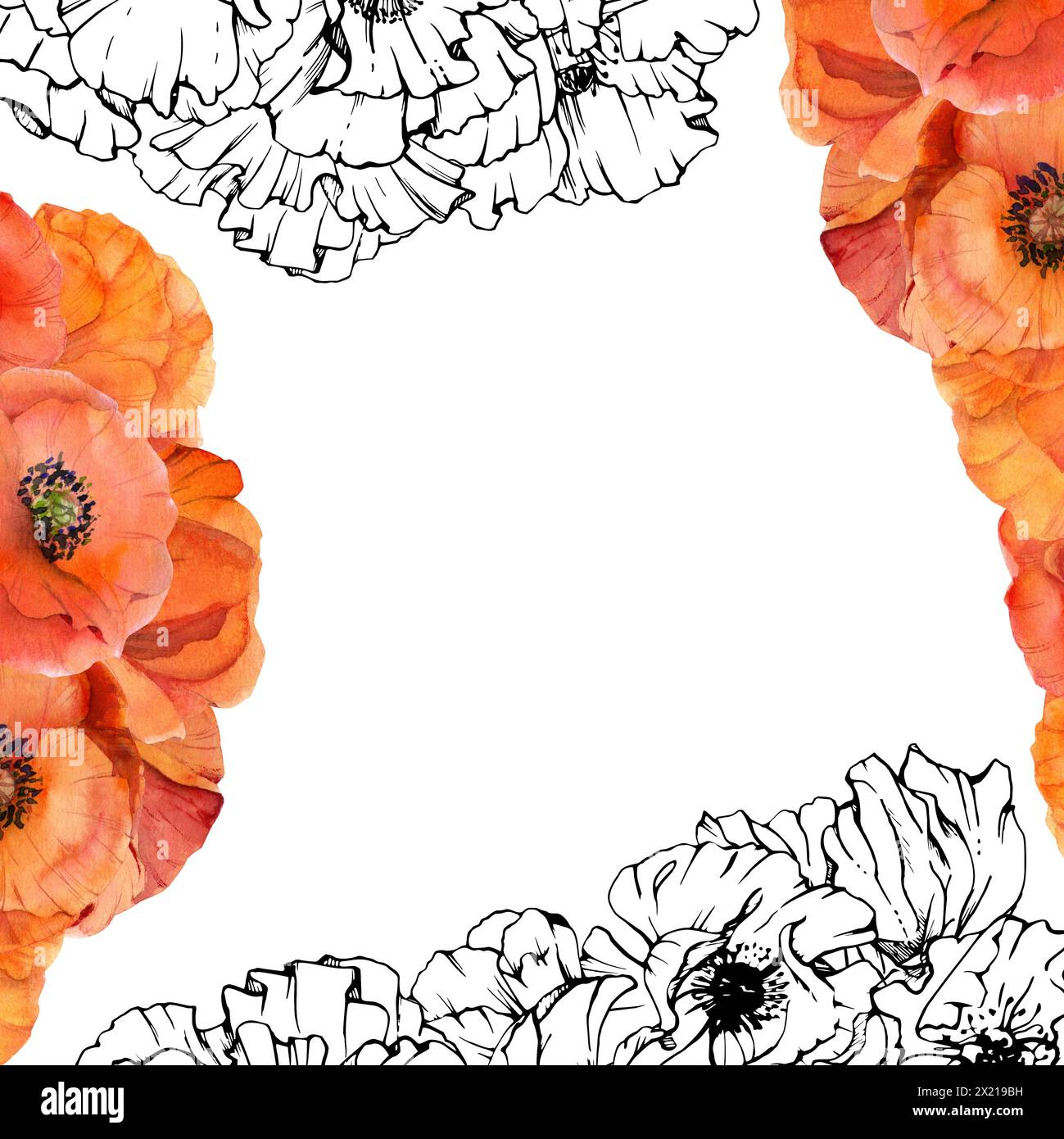 Hand drawn watercolor botanical illustration flowers leaves. Red poppy ...