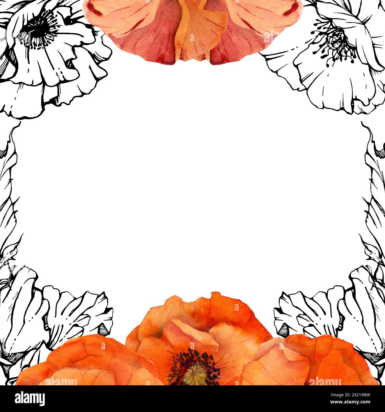 Hand drawn watercolor botanical illustration flowers leaves. Red poppy ...
