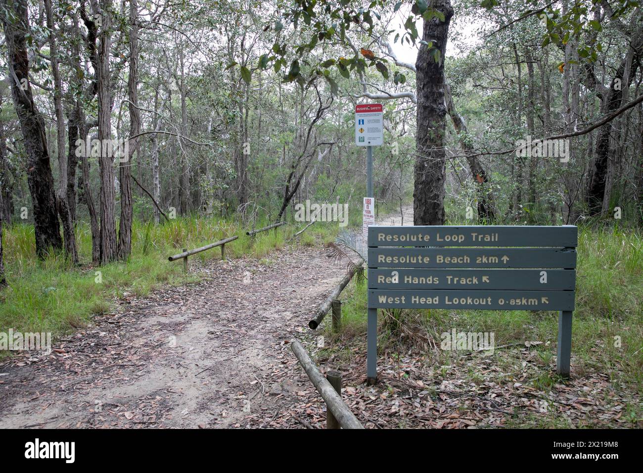 Ku-ring-gai chase national park near Sydney, The resolute loop trail ...