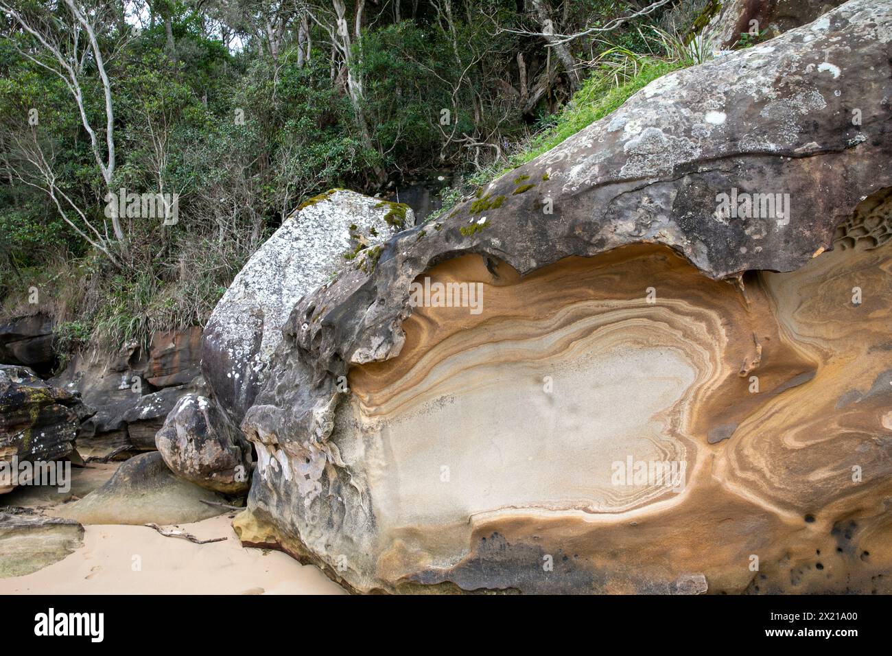 Resolute Beach in Ku-ring-gai chase national park, large rock boulder ...