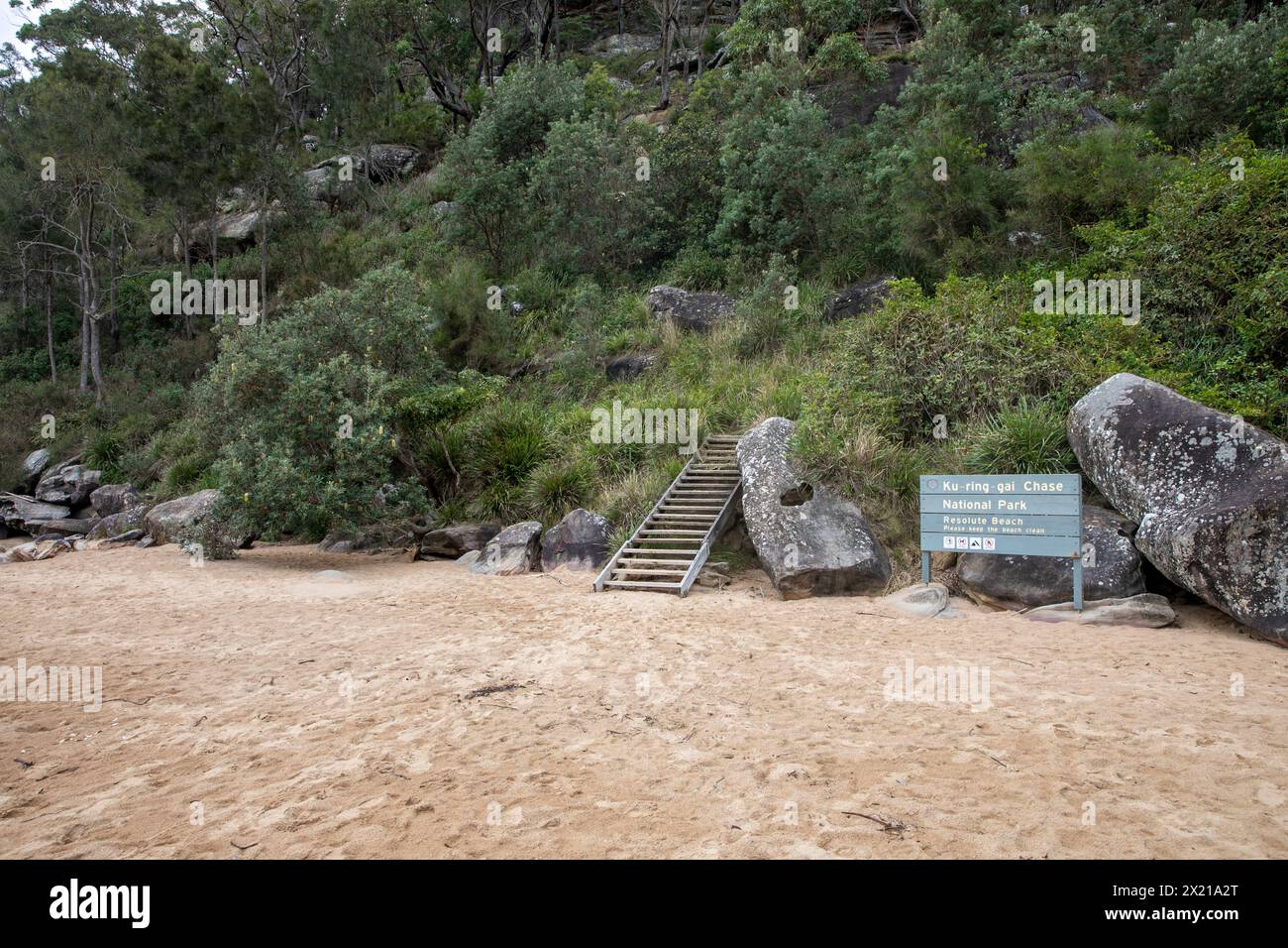 Resolute Beach in Ku-Ring-gai chase national park, a seclude beach on ...