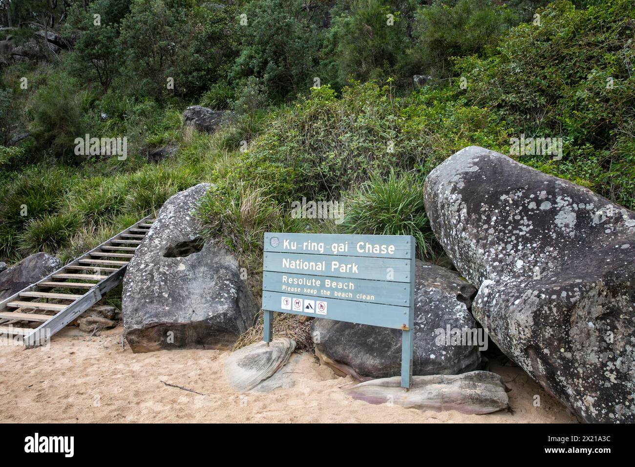 Resolute Beach in Ku-Ring-gai chase national park, a seclude beach on ...
