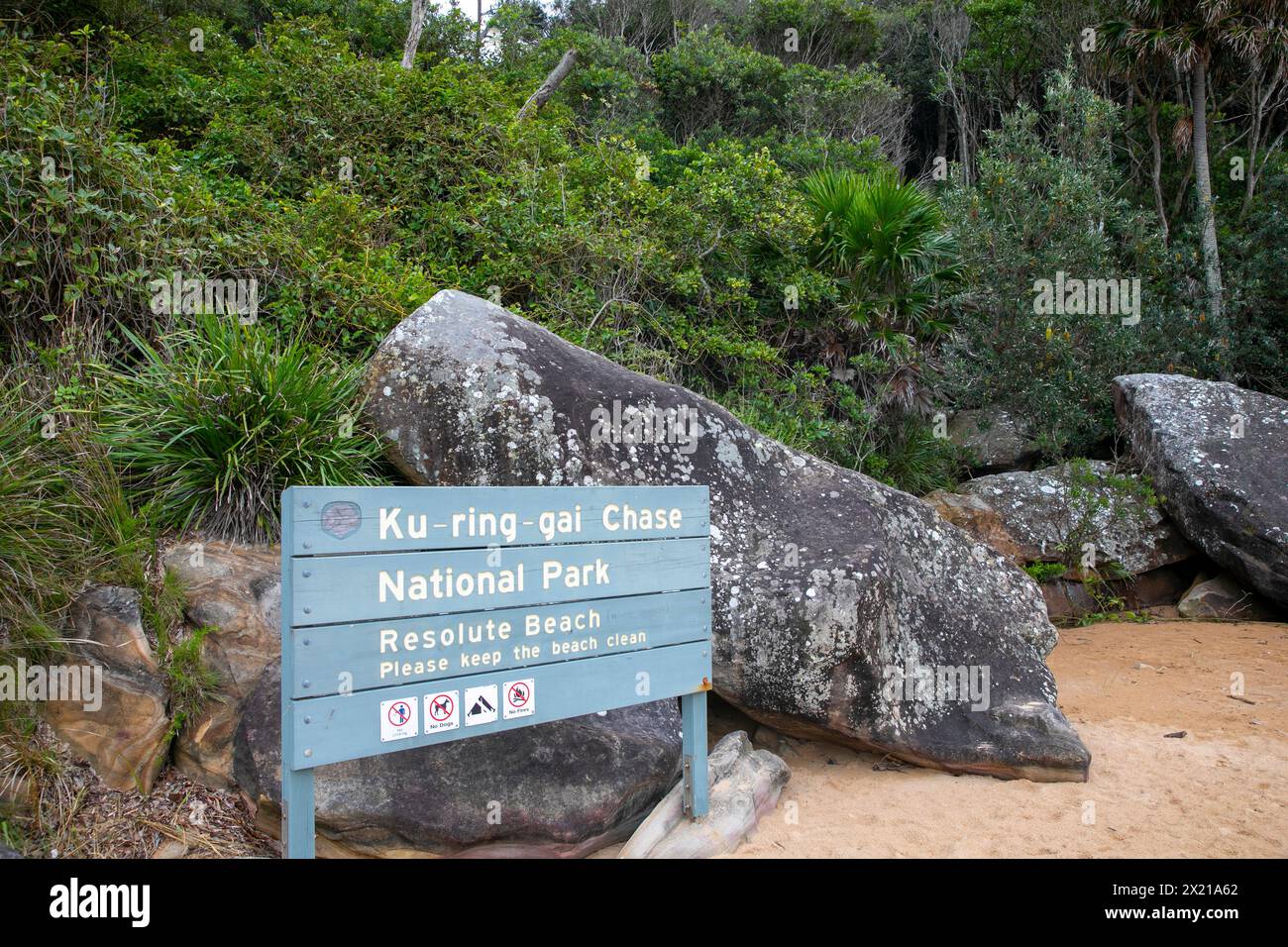 Resolute Beach in Ku-ring -gai chase national park, a seclude beach on ...