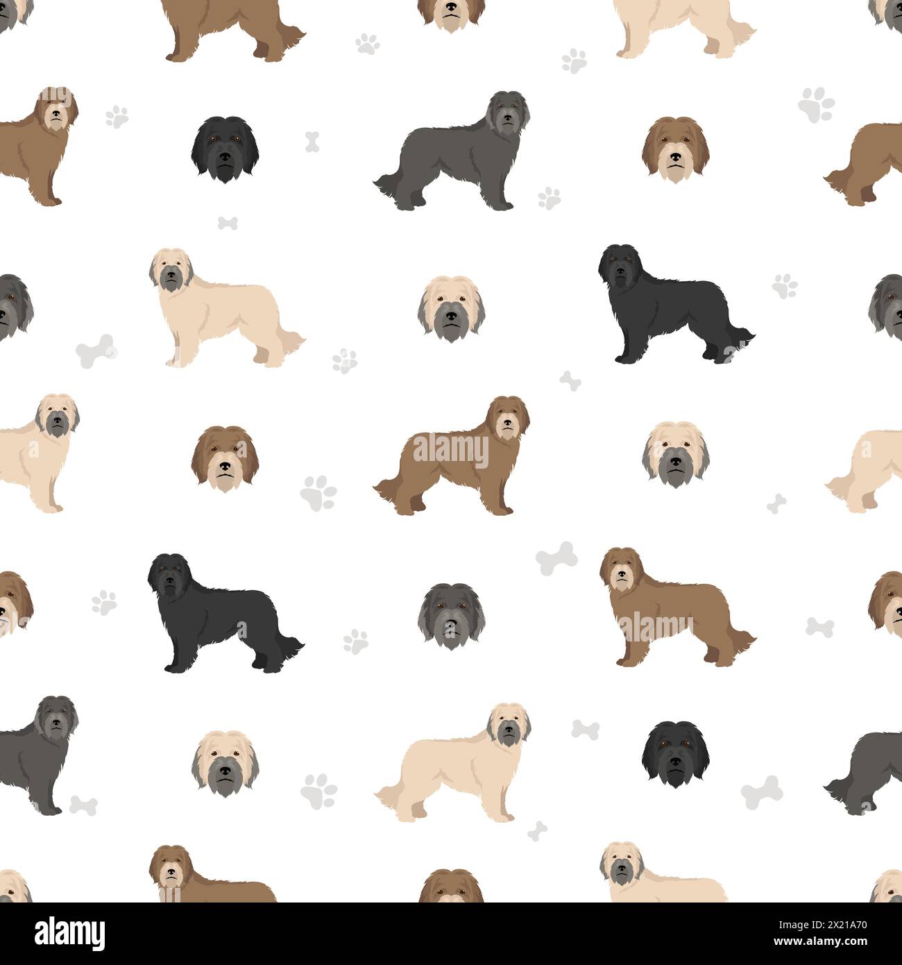 Catalan Sheepdog seamless pattern. Different poses, coat colors set ...