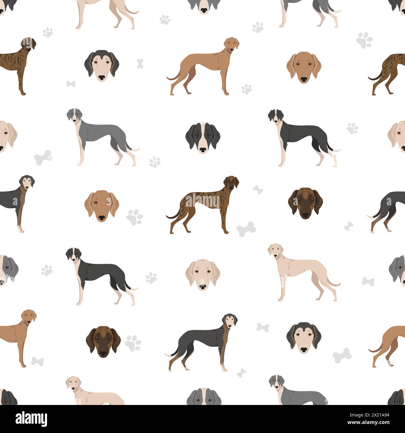Chortai seamless pattern. Different poses, coat colors set. Vector ...