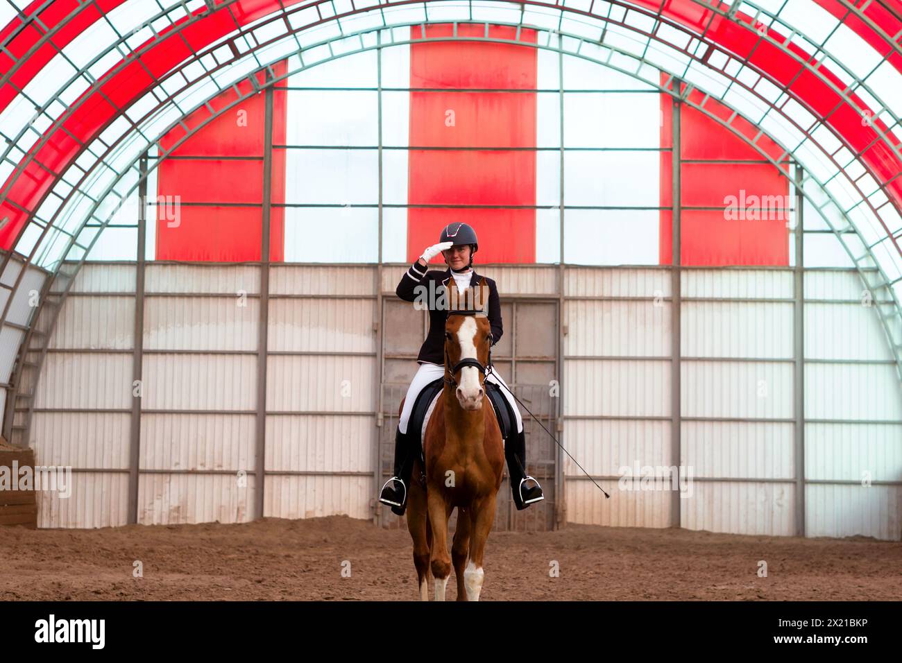 Equestrian rider saluting in indoor red arena. Woman horseback riding ...