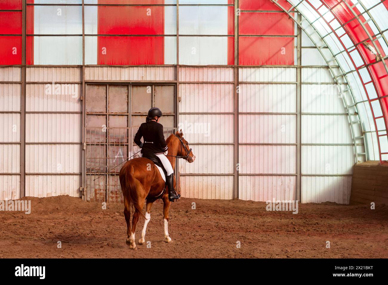 Rider training with horse in arena. Riding session. Dressage. Female ...