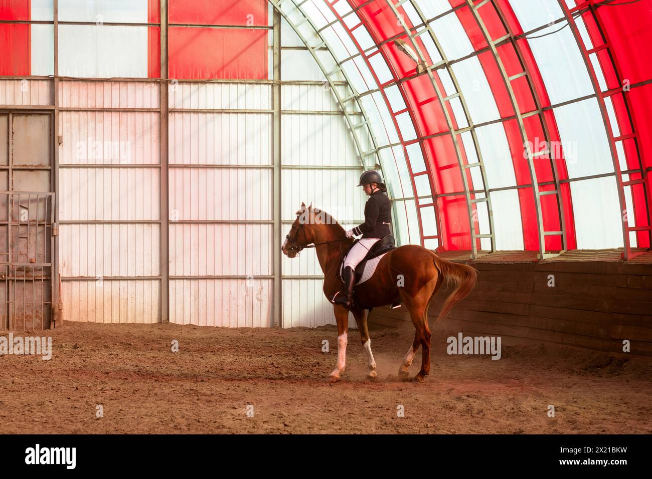 Equestrian performing dressage in arena. Professional female jockey in ...