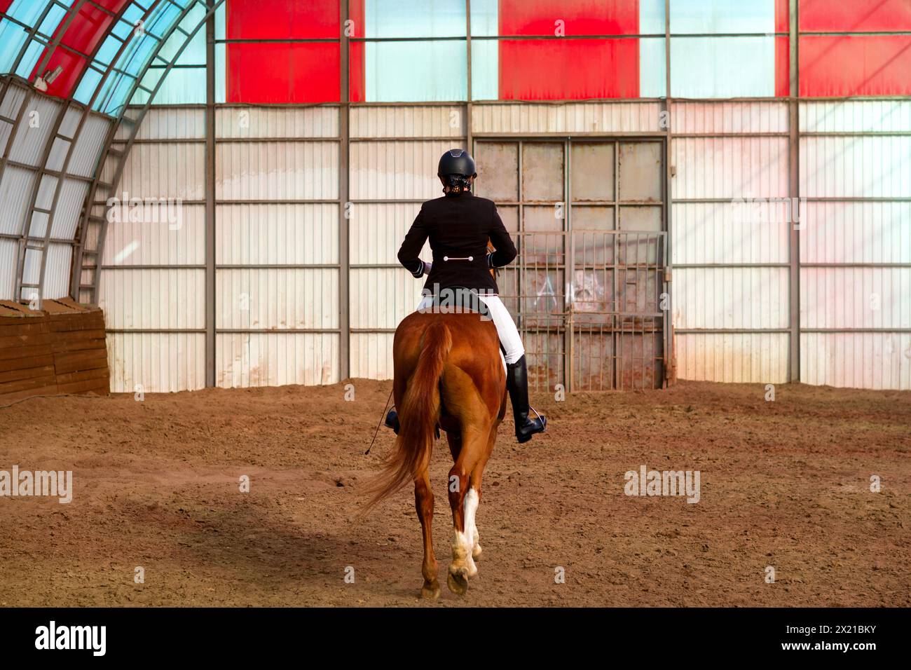 Rider on chestnut horse in riding arena. Riding session. Dressage. Back ...