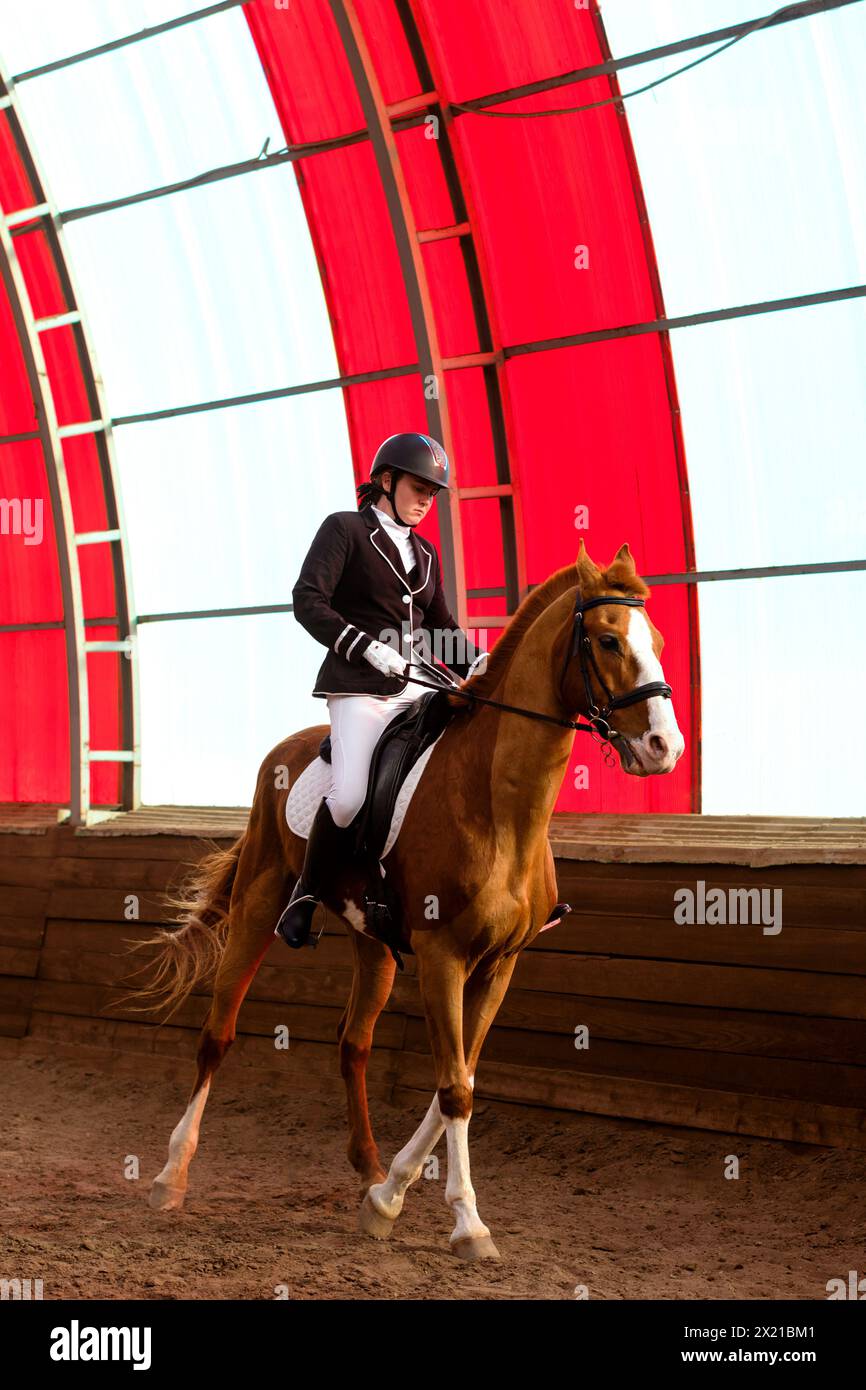 Woman horseback riding training in a red arena. Dressage. Female jockey ...