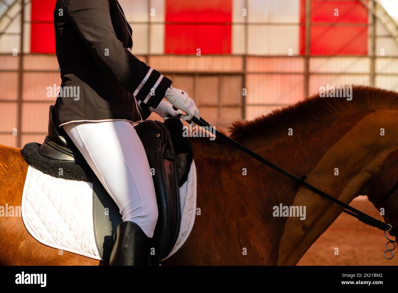 Formal equestrian attire hi-res stock photography and images - Alamy