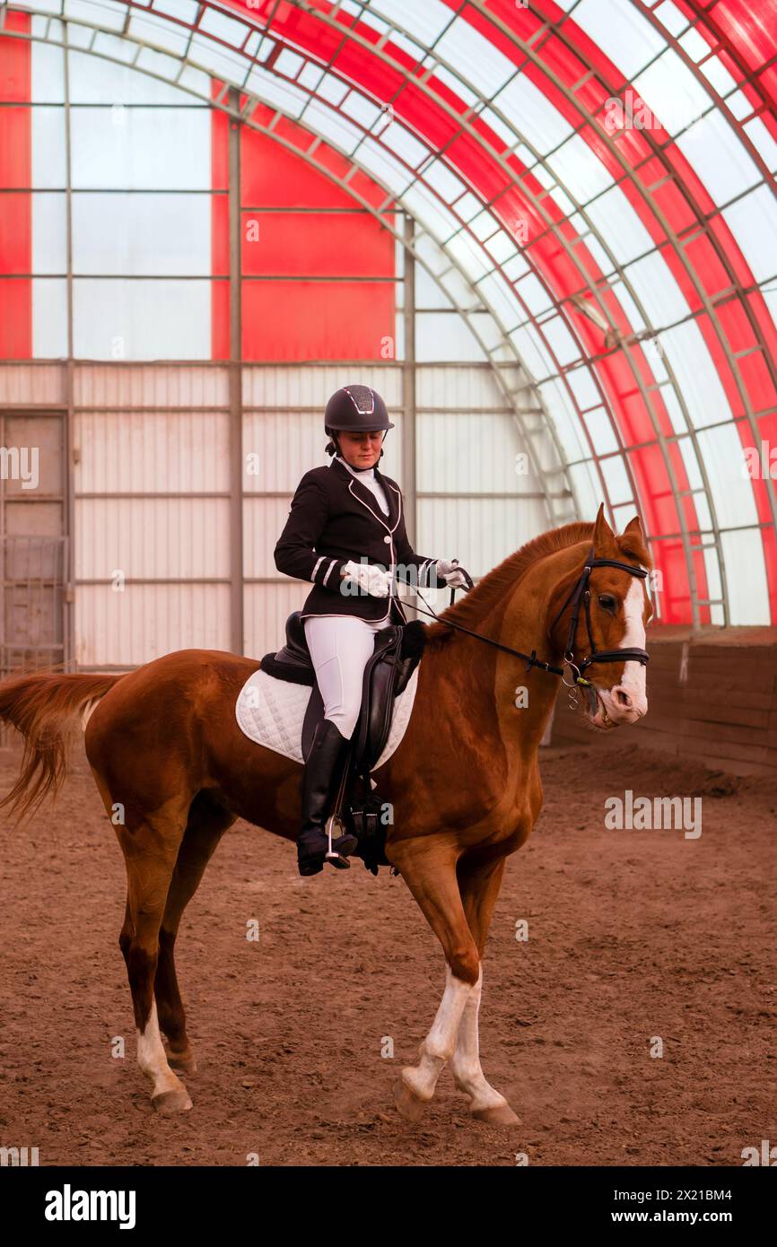 Focused dressage rider in a striking red-arched arena. Female jockey in ...