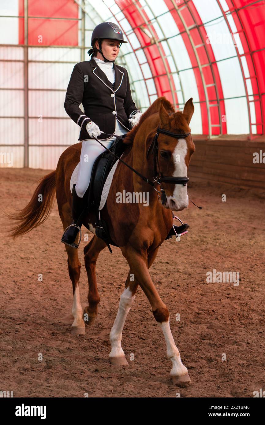 Dressed rider on horse in riding school. Professional female jockey ...