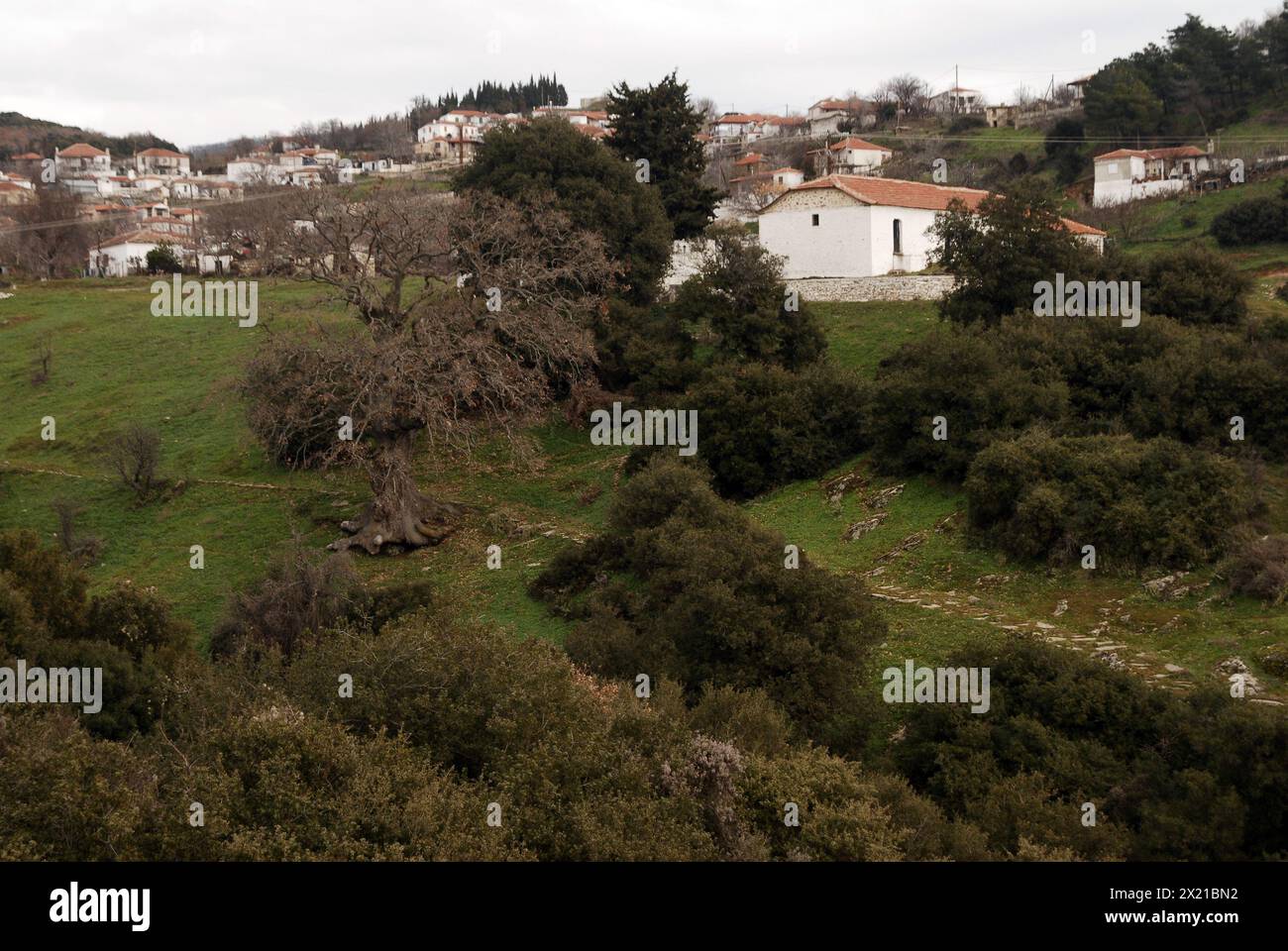 Greece, Thessaly, Larisa, Agia area Elafos village the church and stone ...