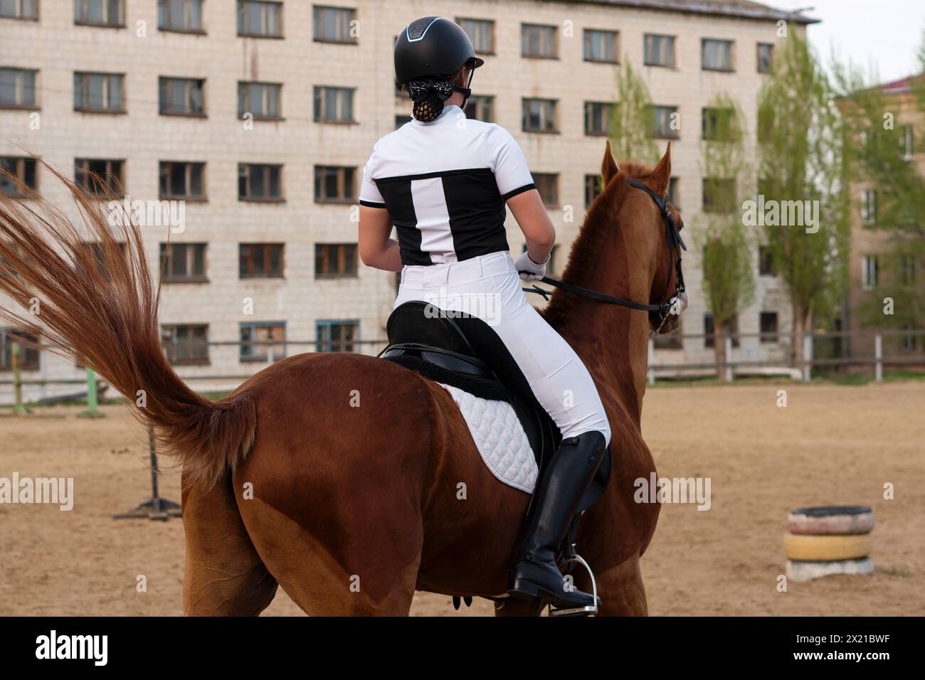 Back view of equestrian rider in city environment. Riding session ...
