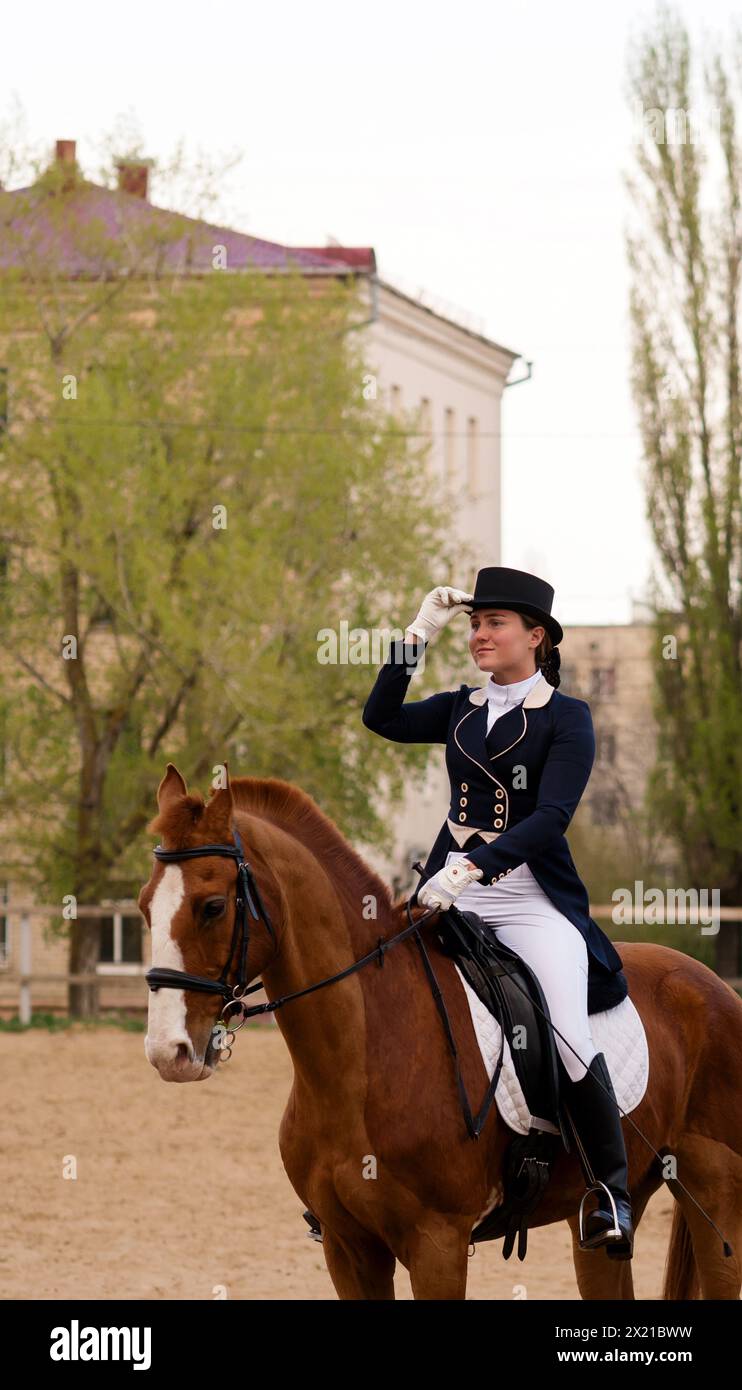 Rider saluting on horseback in city equestrian arena. Dressage. Female ...